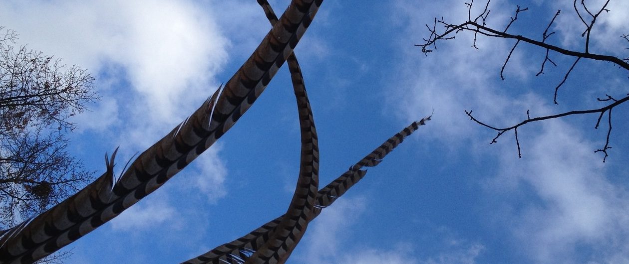 FRAU RUPP - Sabine Rupp begleitet bei unternehmerischen Fragen rund um ...